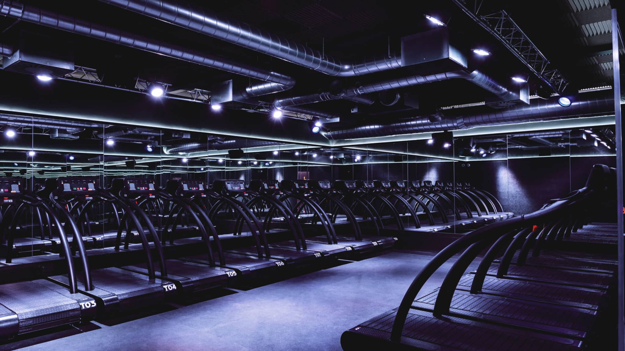 Enhancing a Victus Soul Gym with Immersive Fitness Technology